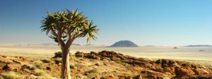 KAROO REGION | Northern Cape South Africa