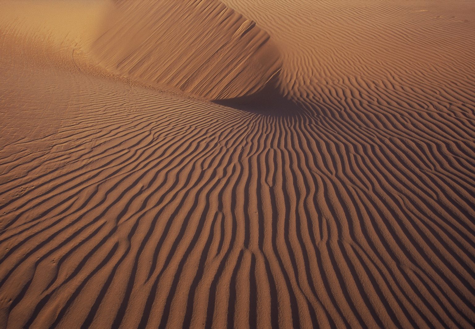 WITSAND NATURE RESERVE | Northern Cape South Africa