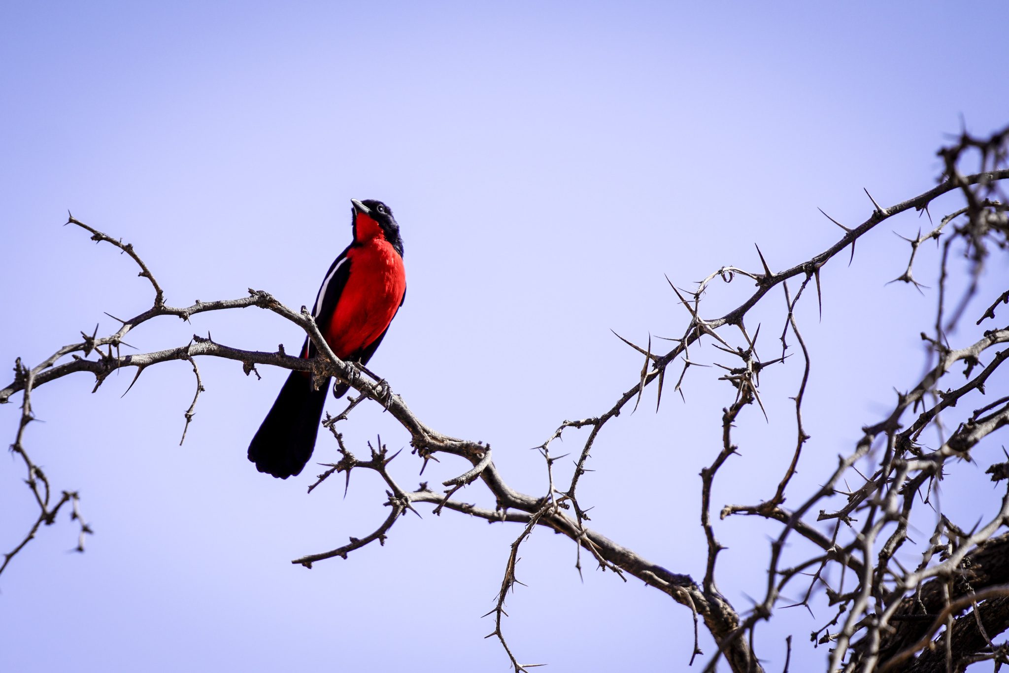 WITSAND NATURE RESERVE | Northern Cape South Africa