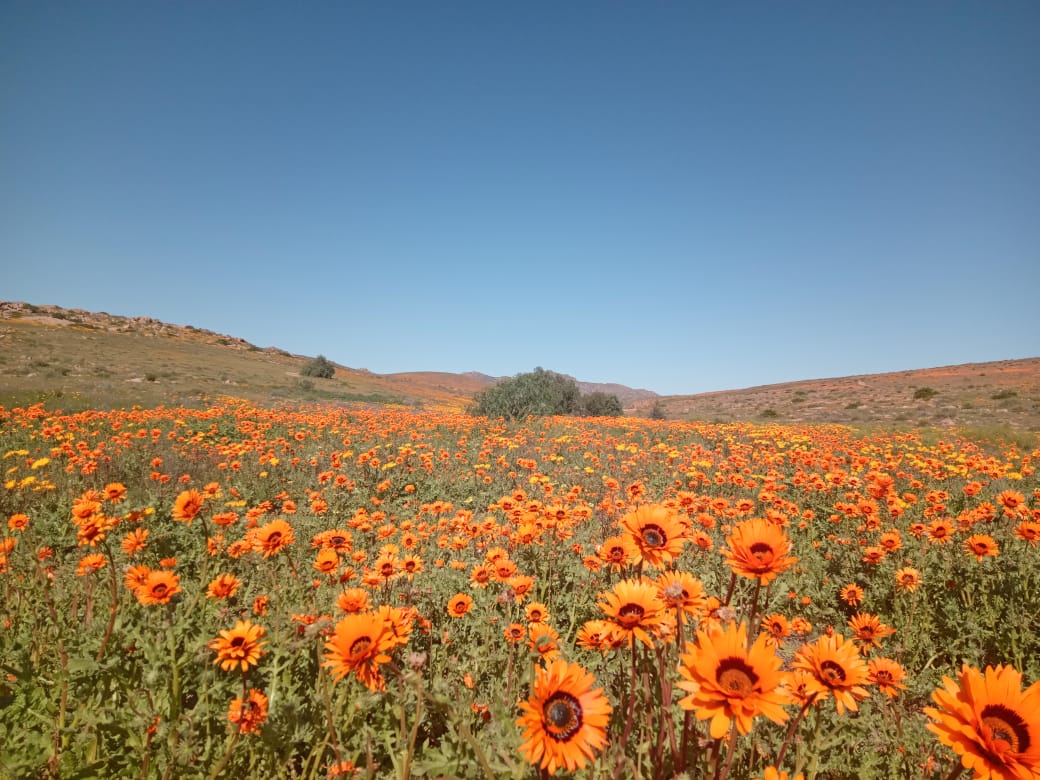 Visitor Home | Northern Cape South Africa